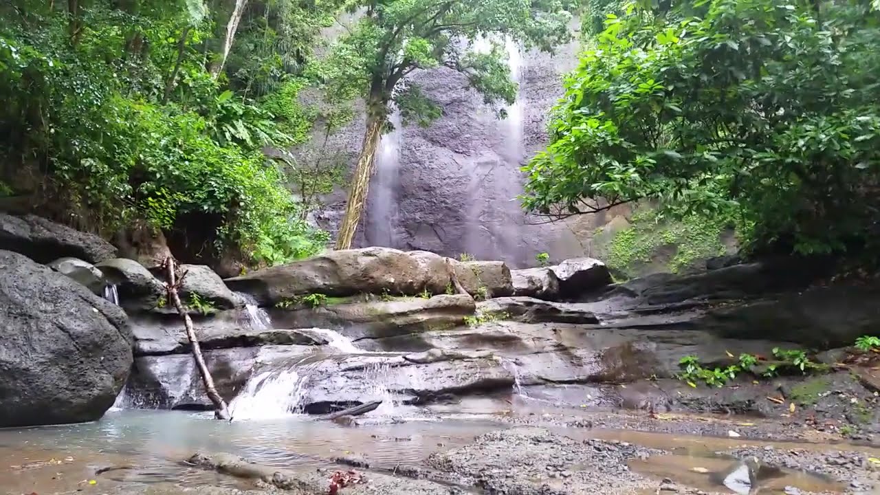 the end of the trail to Dennery/Errand Falls- St Lucia - YouTube