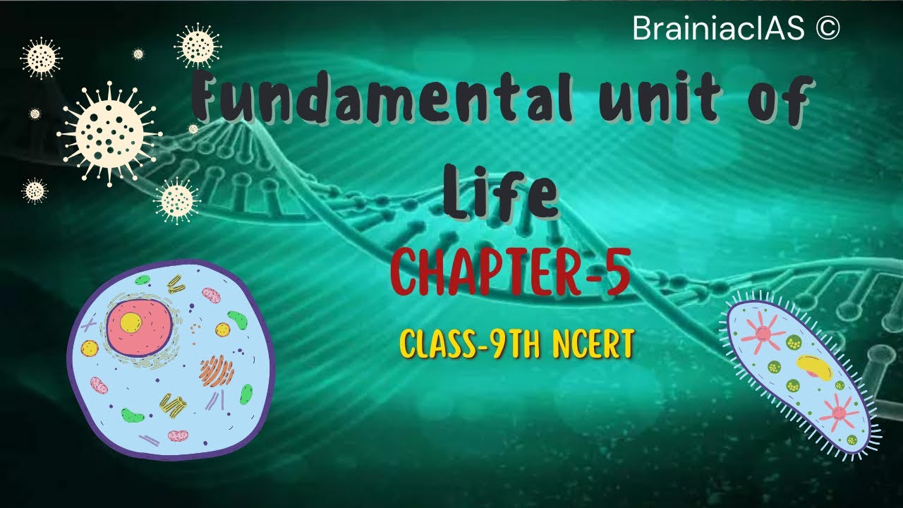 Lecture-4 Biology NCERT Chapter-5 Fundamental Unit of life . - YouTube
