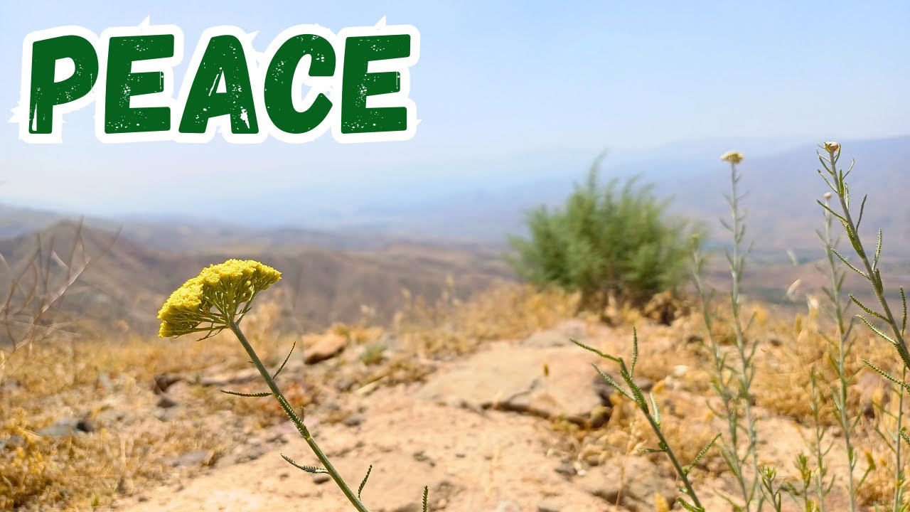 Relaxing Nature Walk with Peaceful Music & River Sounds | Nature ...