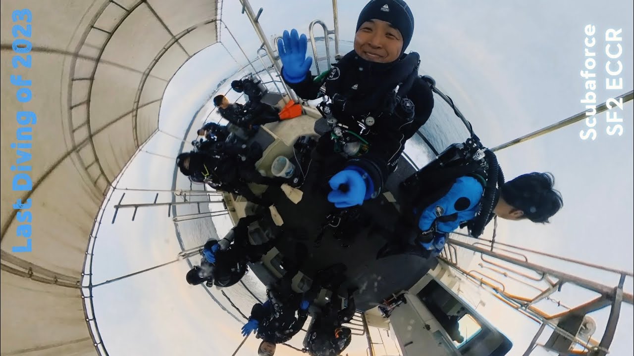 Last Diving of 2023 - YouTube