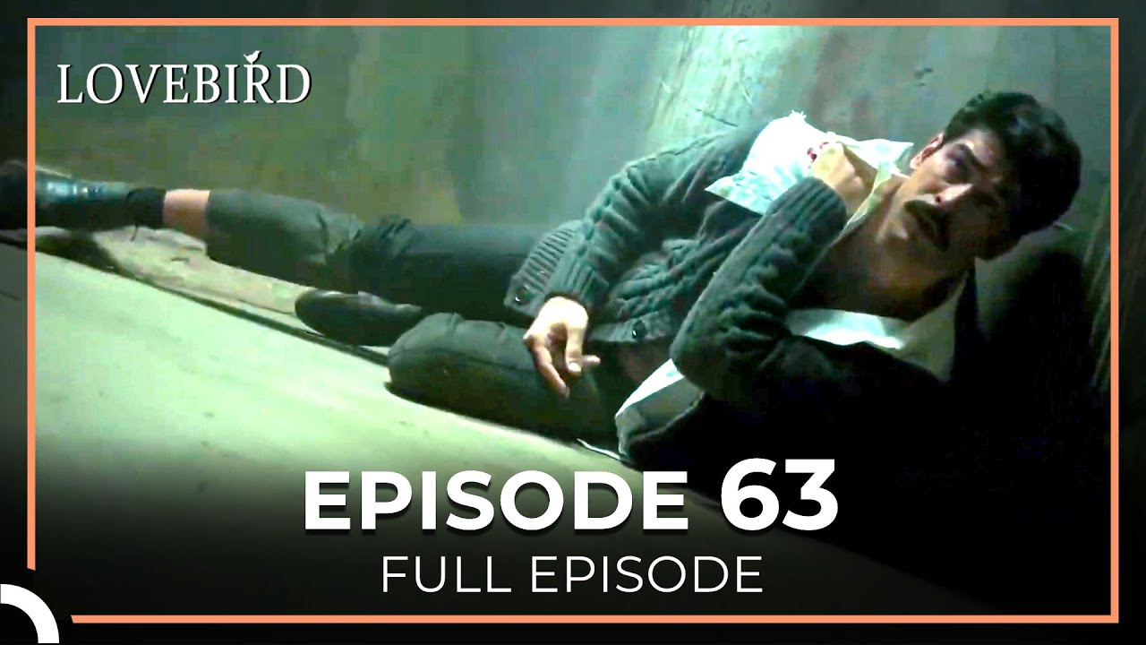 Lovebird Episode 63 - YouTube
