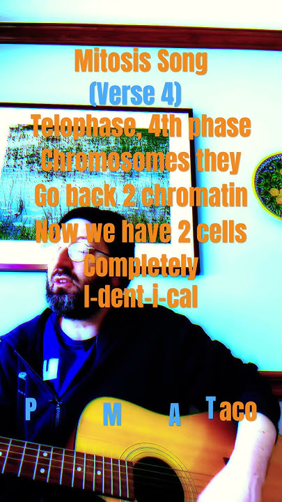 Mitosis Song (v4 telophase) #school #singersongwriter #biology # ...