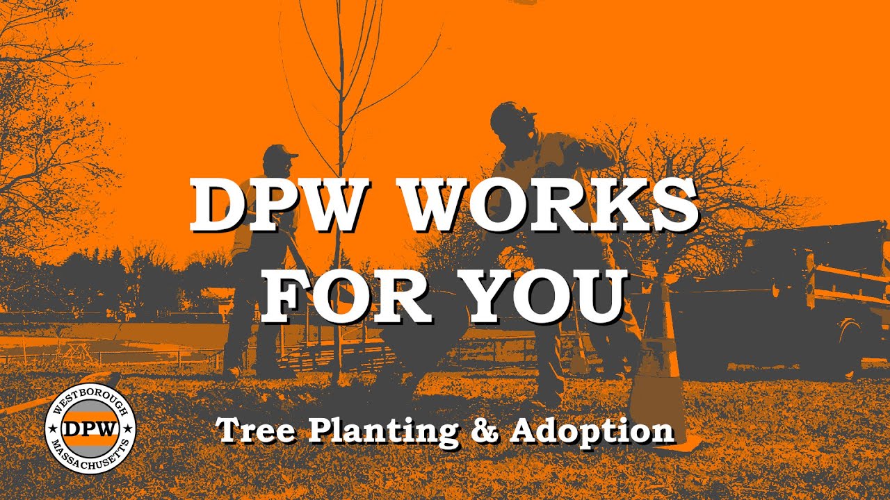 Tree Planting and Adoption | DPW Works For You - YouTube