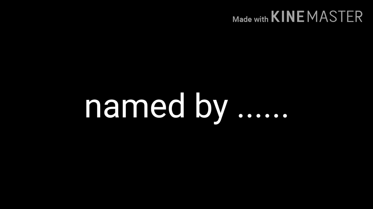 Series Name Named By Find Out YouTube series-name-named-by-find-out-youtube