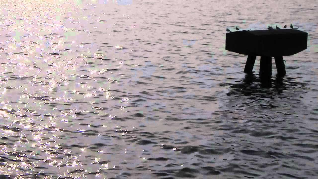 Birds on Breaker - YouTube