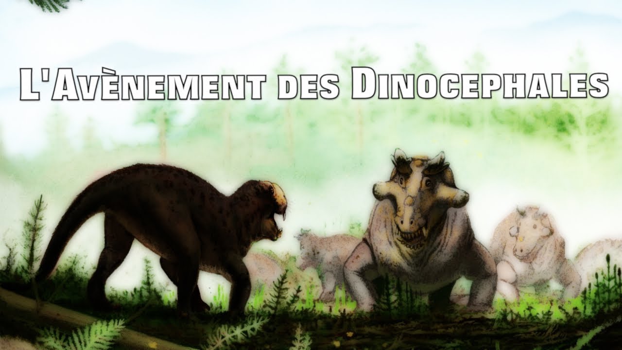 HDT #3 : Les Débuts des Therapsides - L'Avènement des Dinocephales, d ...