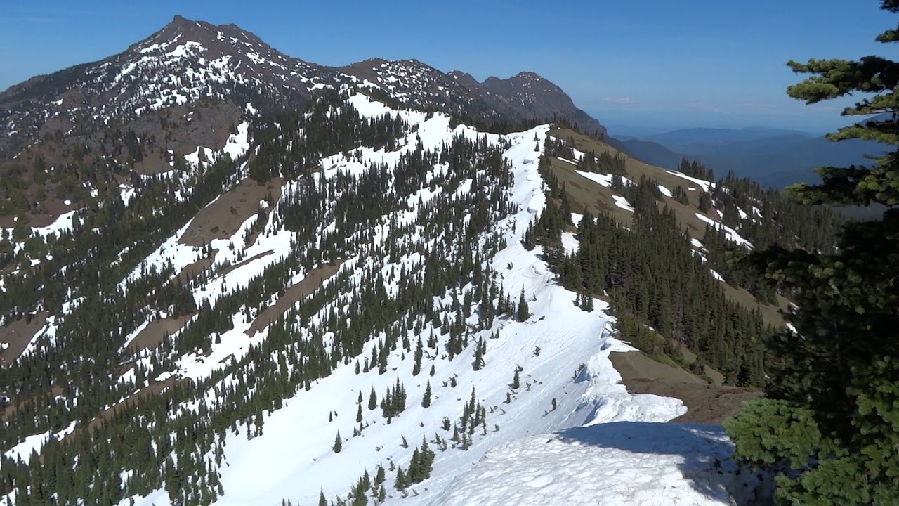 View from Sunrise Point near Hurricane Ridge (Olympic National Park ...
