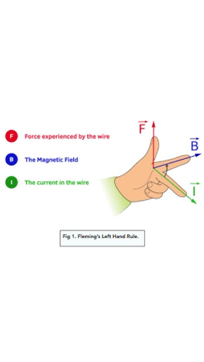 Fleming's Left hand rule/physics - YouTube