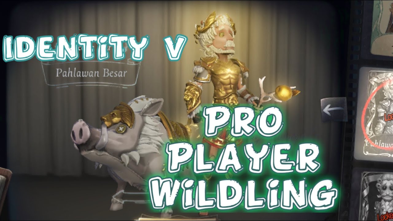 #2 Wildling | Pro Player | Asia Server | Survivor Rank | Identity V ...
