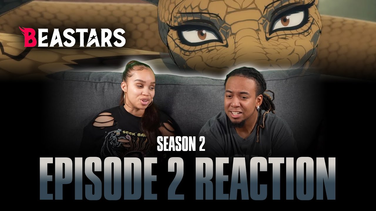 The Grey Police Hound Runs | Beastars S2 Ep 2 Reaction - YouTube