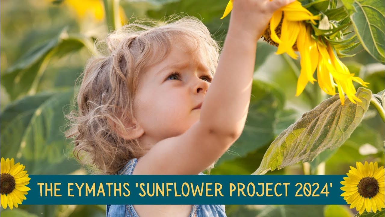 We Start Tomorrow! 'The EYMaths Sunflower Challenge 2024' - YouTube