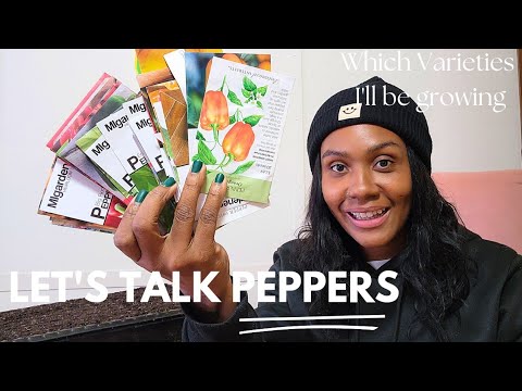Countdown: Pepper Varieties I'm Growing And Why - YouTube
