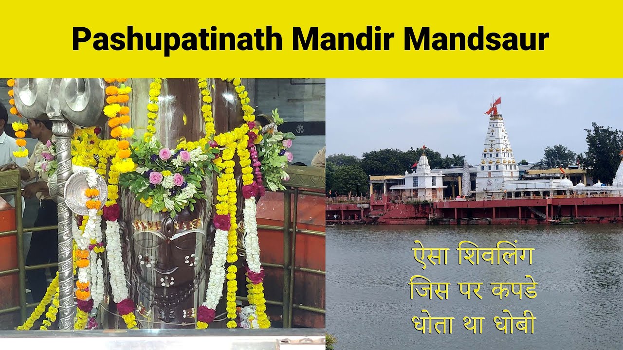 Pashupatinath Mandir 2024 | Nepal or India ? Which one to Visit # ...