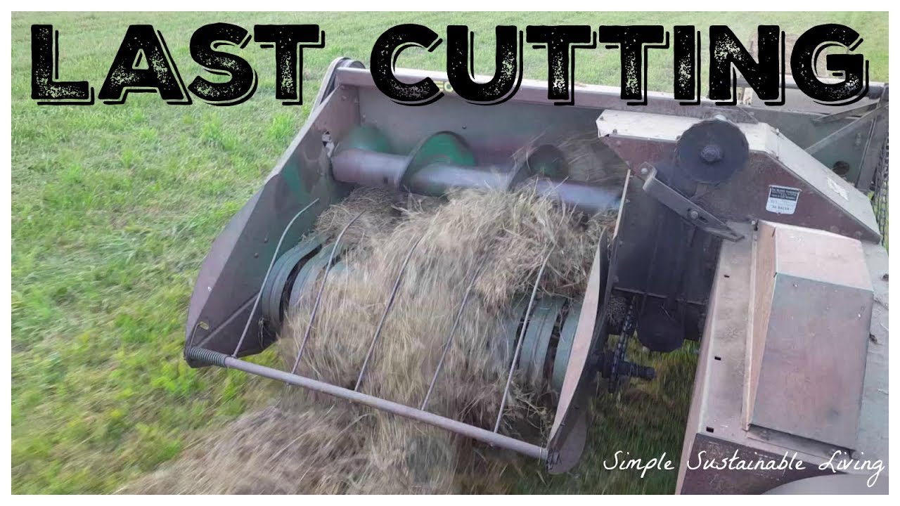 Providing Sustainable Food For Our Animals - 3rd Cutting Hay - YouTube