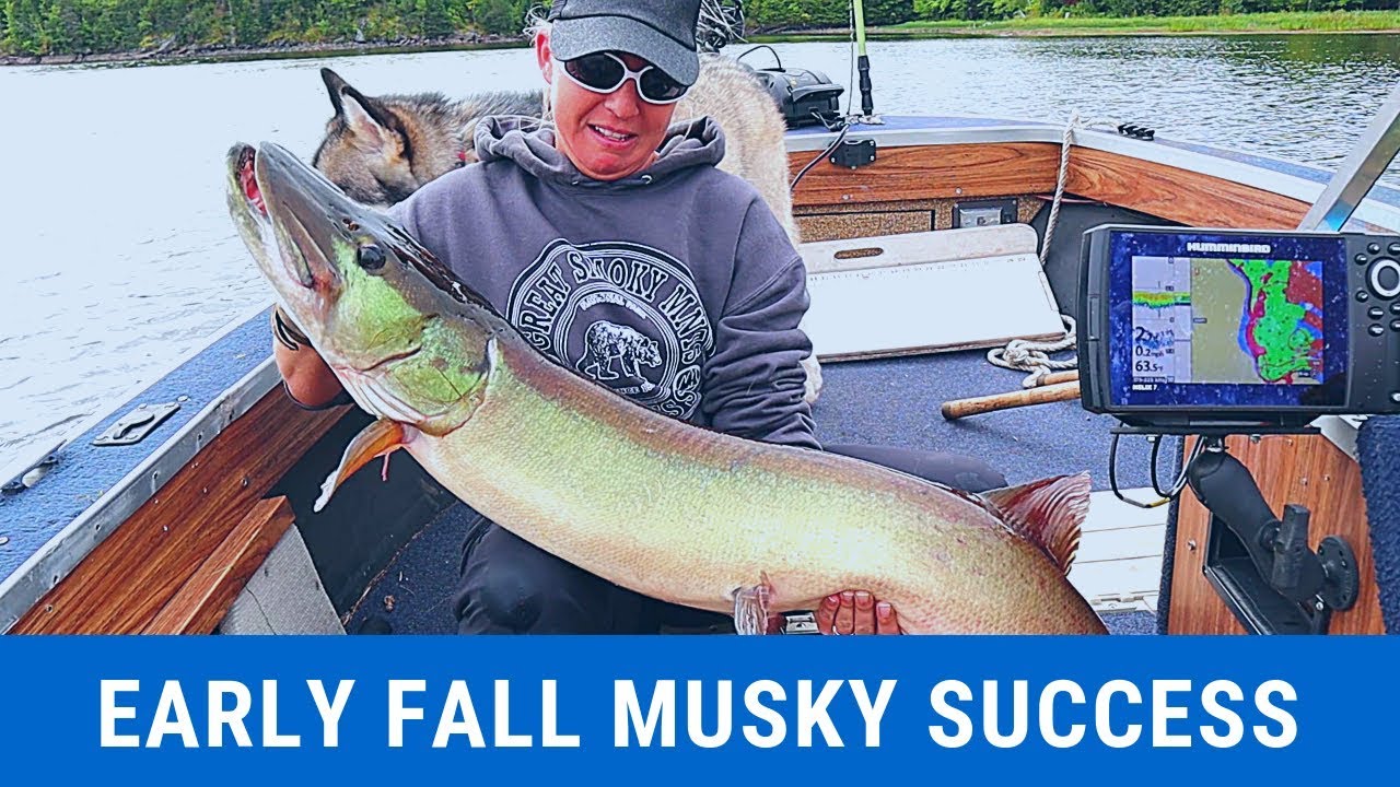 Early Fall Musky Fishing Success in Northern Wisconsin - YouTube