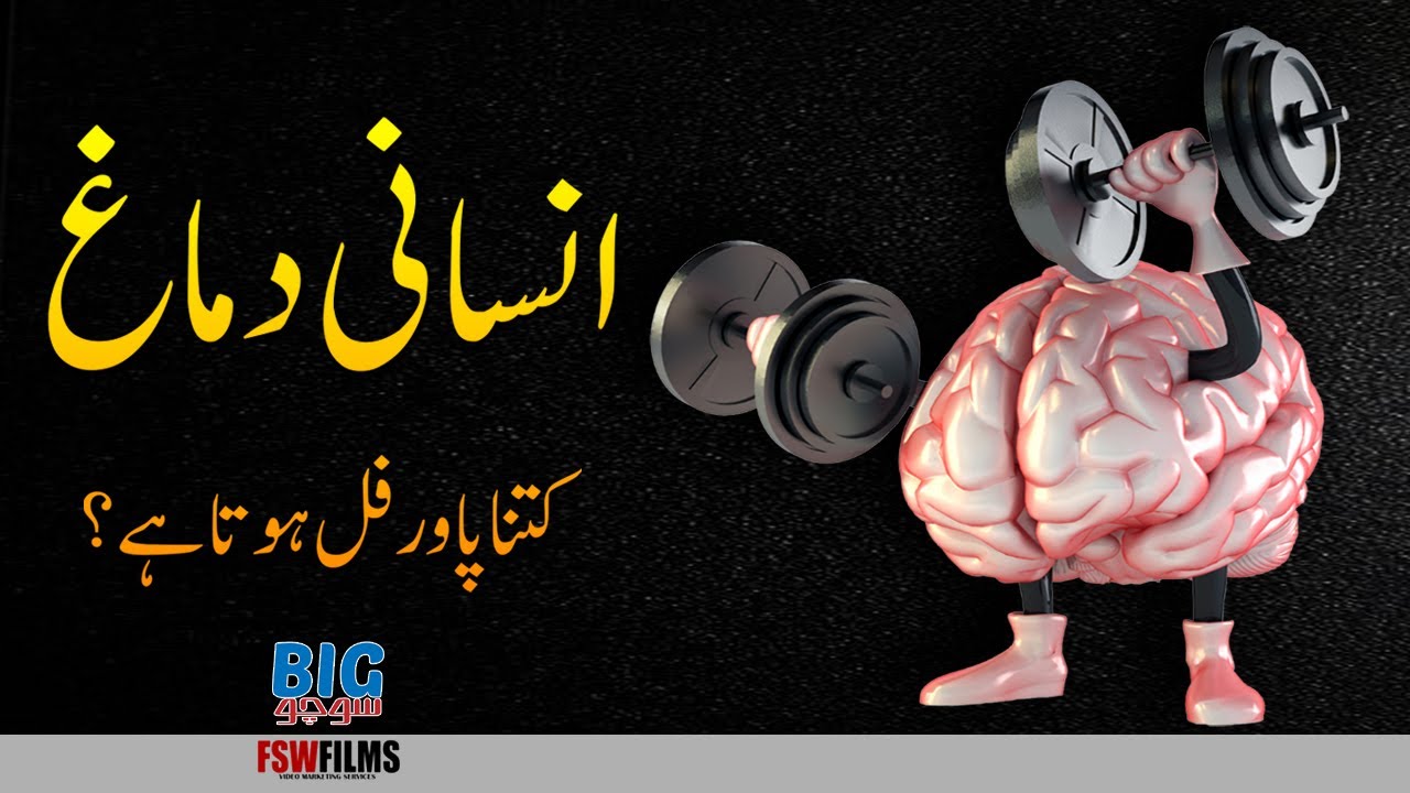 How Powerful is The Human Brain Compared to a Computer? | Faisal ...