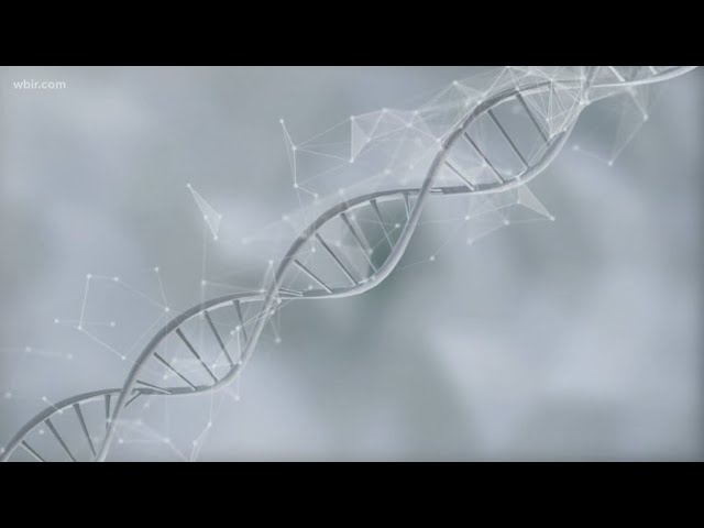 What is the DNA Diet? - Beezzly