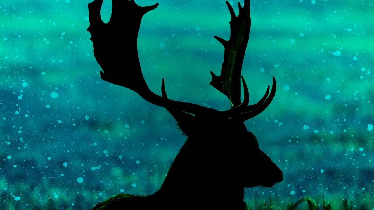 Dan Sieg - Horizons (Blugazer Remix) [Silk Music] - YouTube