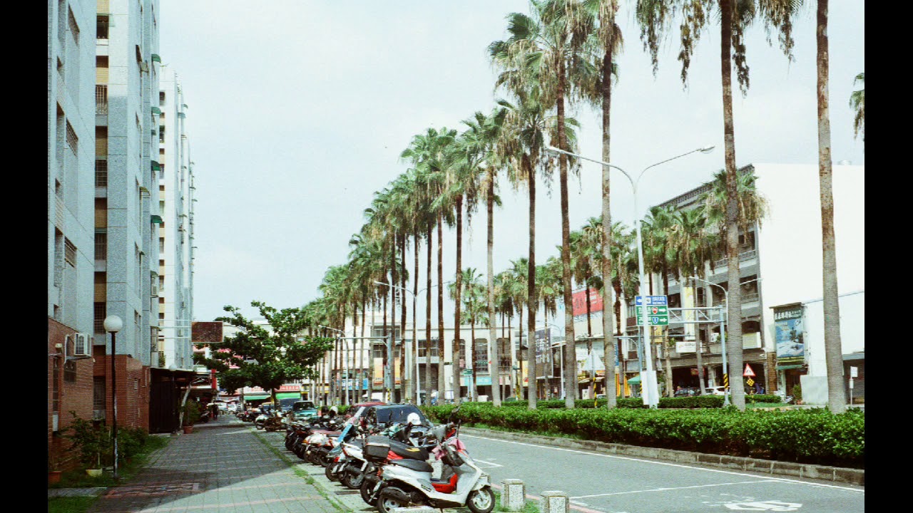 yashica mg-1 實拍照