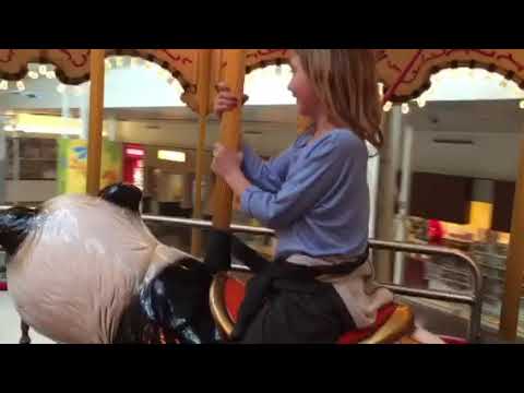 Carousel at Chicago Ridge Mall - YouTube