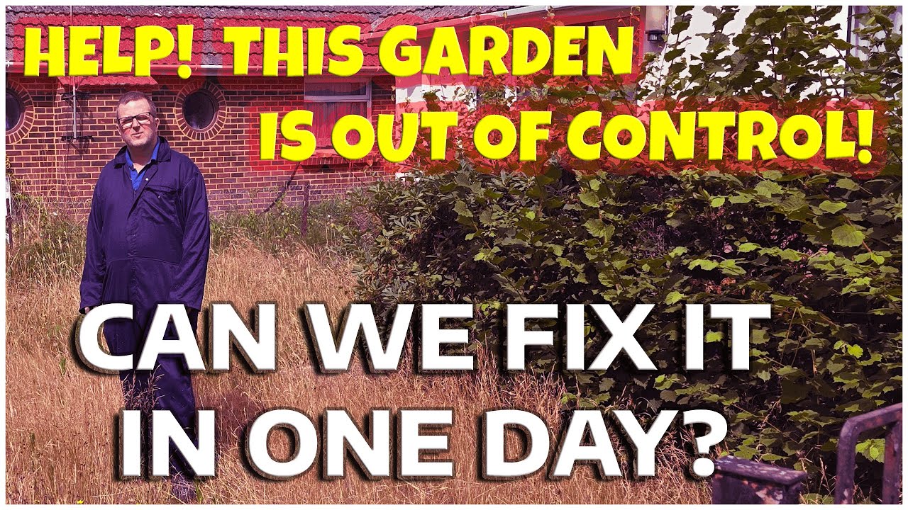 "Help! This garden is out of control – Can We Fix It in One Day?" # ...