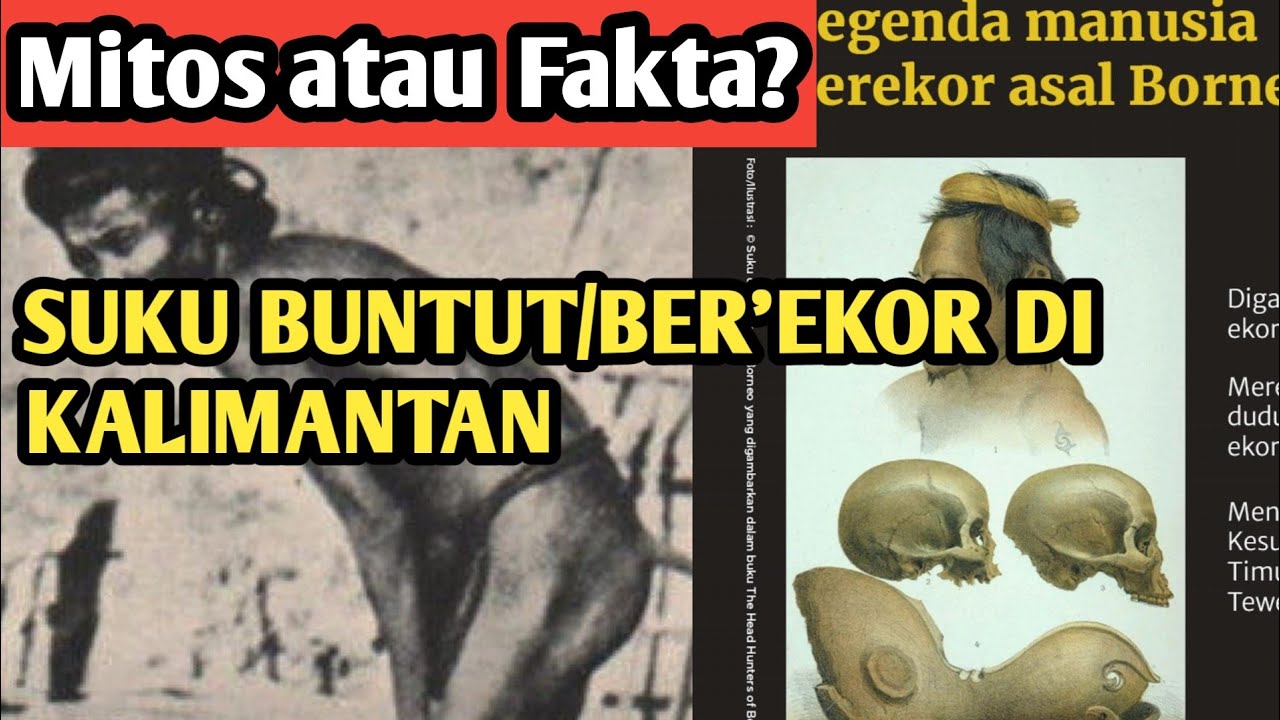 Suku Buntut/Berekor di Kalimantan - YouTube