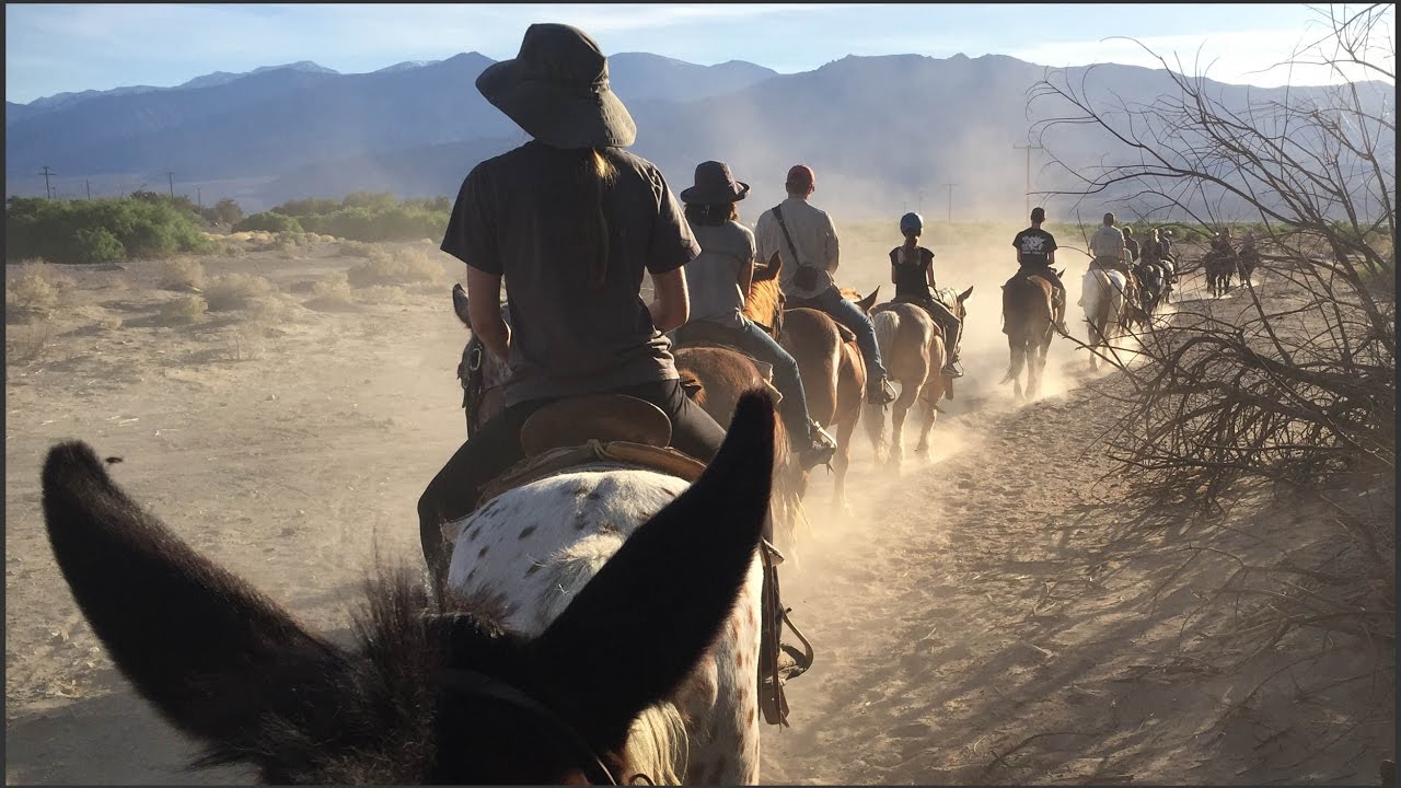 Taxi to the Trail Ride - Death Valley - YouTube