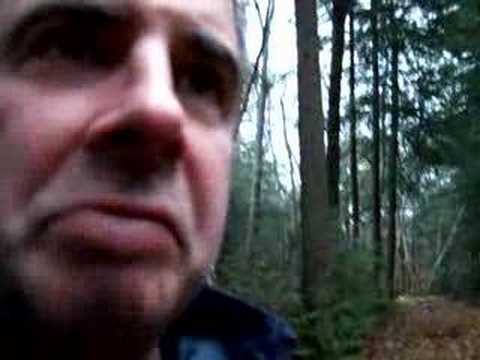 Bobo speculates on tipped over tree - YouTube