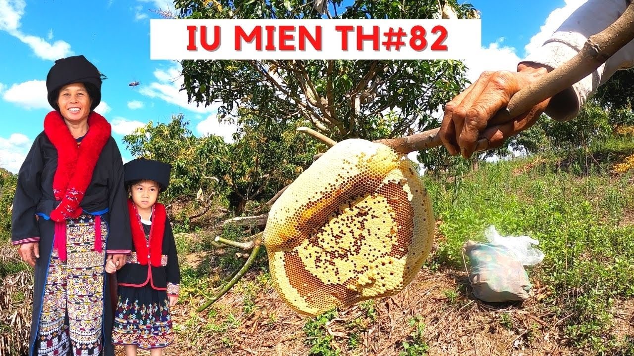 Iu Mien Thailand EP82 | Finding wild honey bees in Iu Mien farm - YouTube