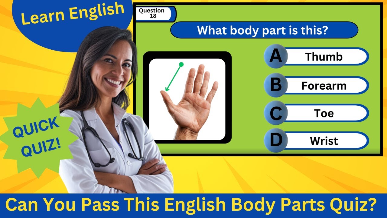 Can You Name These Body Parts? 🔍| Beginner Level Challenge! - YouTube