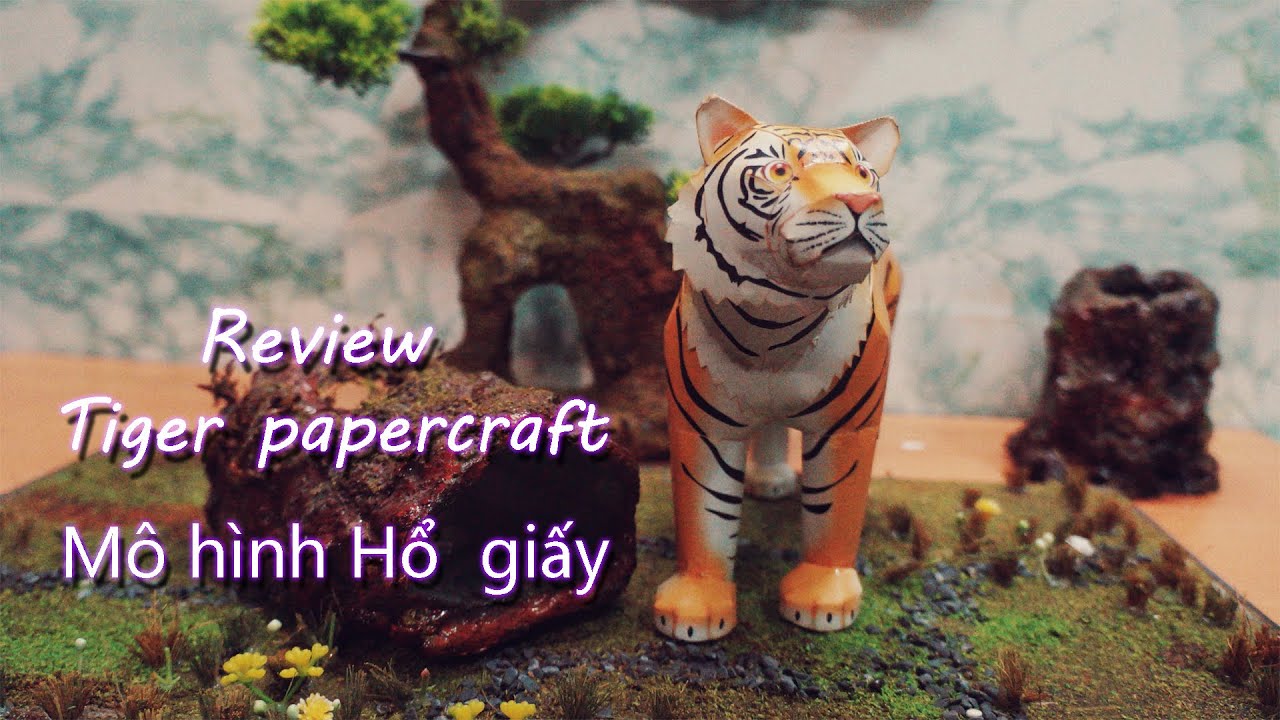 Review Tiger Papercraft. Trên tay mô hình hổ giấy siêu cool - YouTube