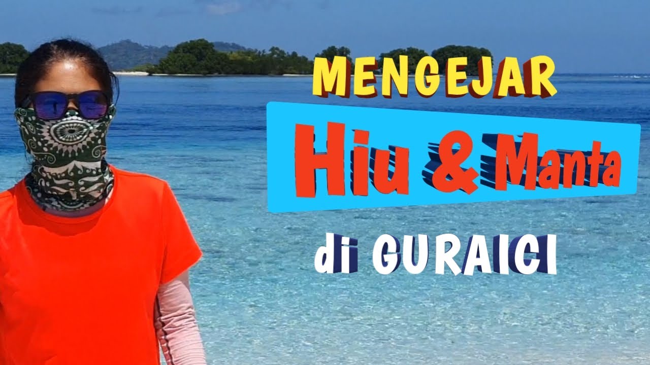 Mengejar Hiu dan Manta di Guraici; Kepingan surga di Halmahera Selatan ...