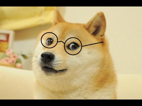 DOGE MUSIC VID - YouTube