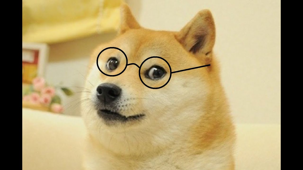 DOGE MUSIC VID - YouTube