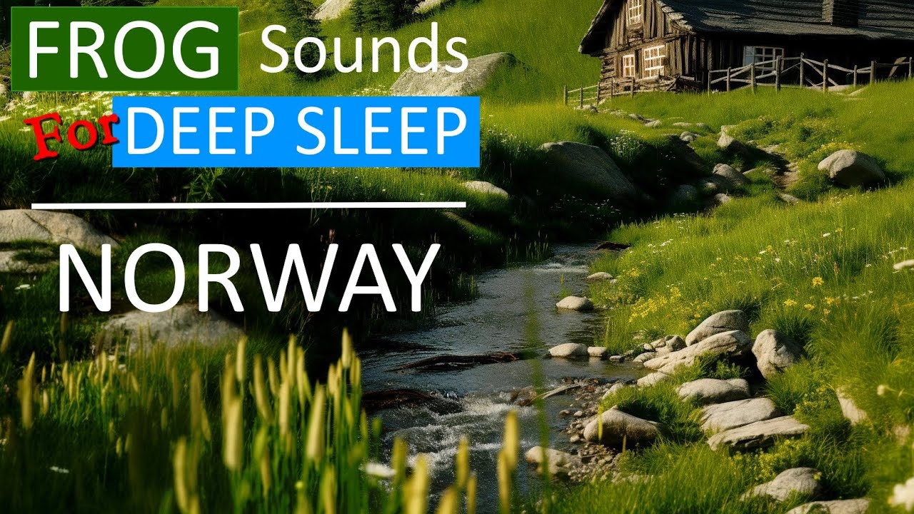 DEEP SLEEP - Norway Frogs Soundscape | Peaceful Frog Sounds for Sleep ...