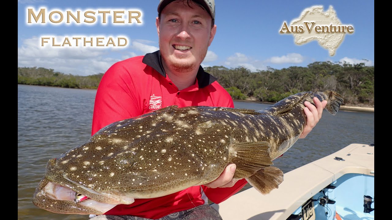 Monster flathead - YouTube