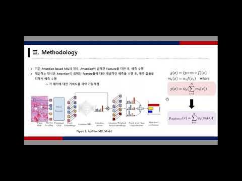 [DS Interface] Additive MIL: Intrinsically Interpretable Multiple Instance Learning for ...
