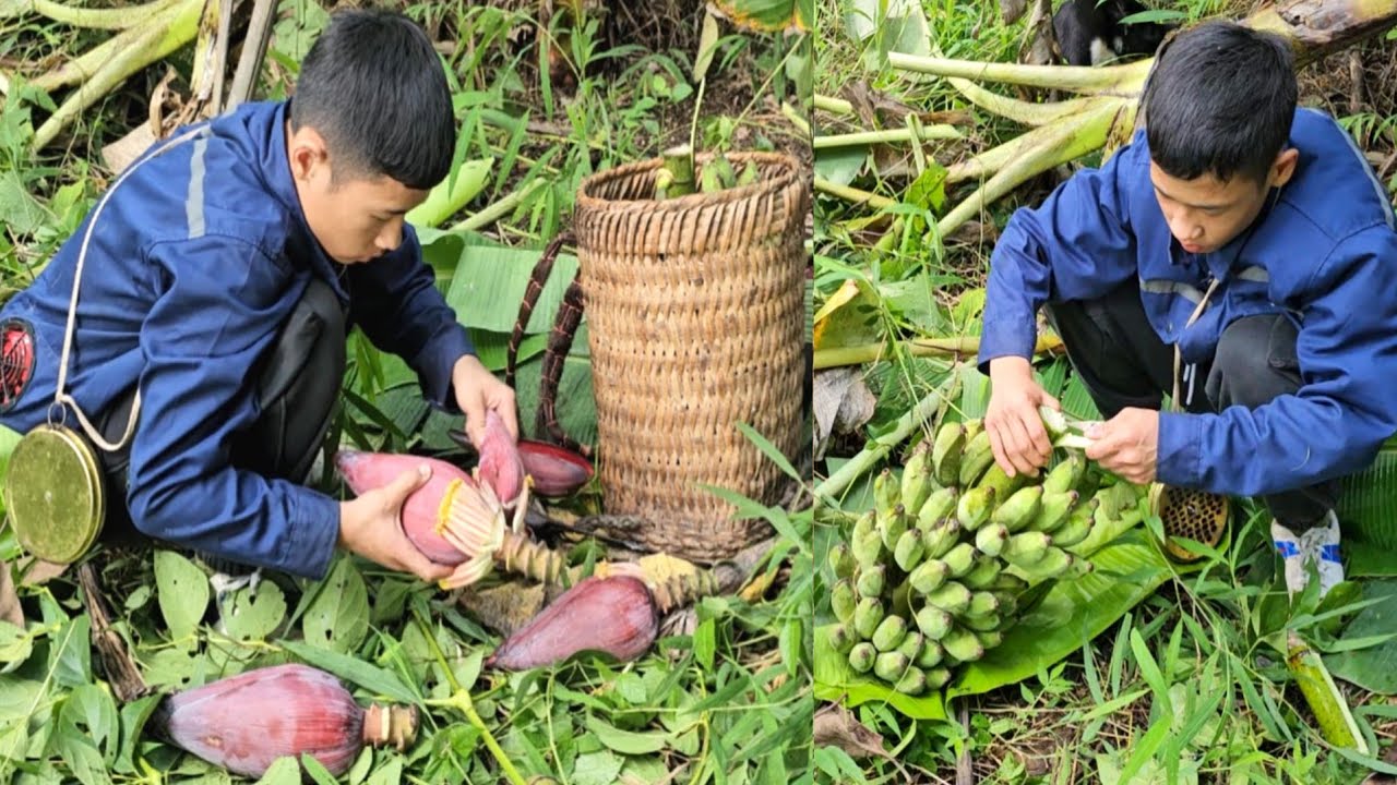 Rare wild vegetables were just picked and were sold out by traders ...