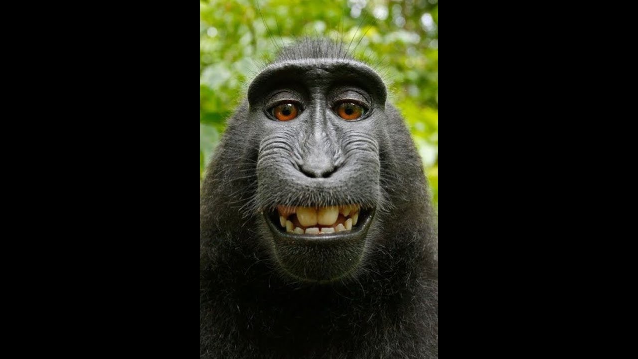 Funnies #2 - YouTube