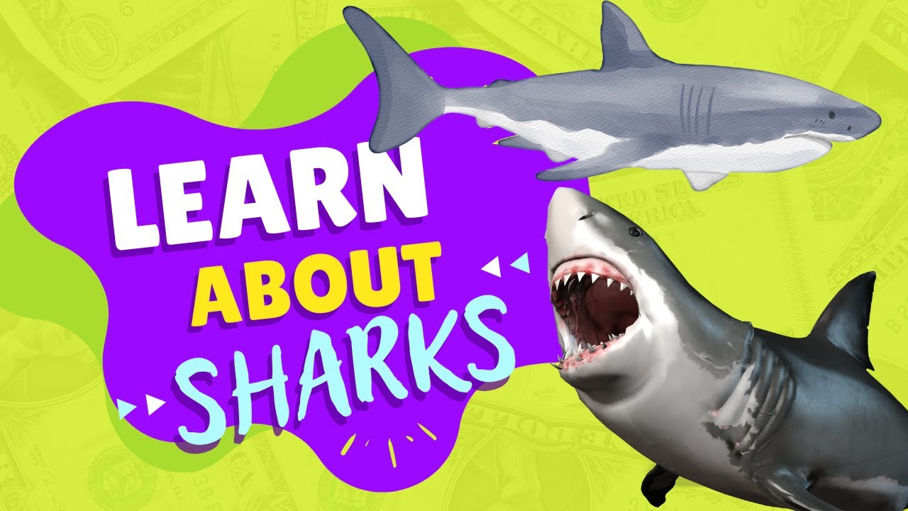 Shark Science for Kids: Learn About These Fascinating Creatures 🦈🌟 ...