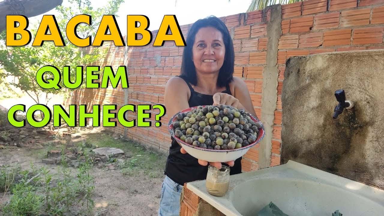 Como fazer sembereba(polpa) de bacaba. - YouTube