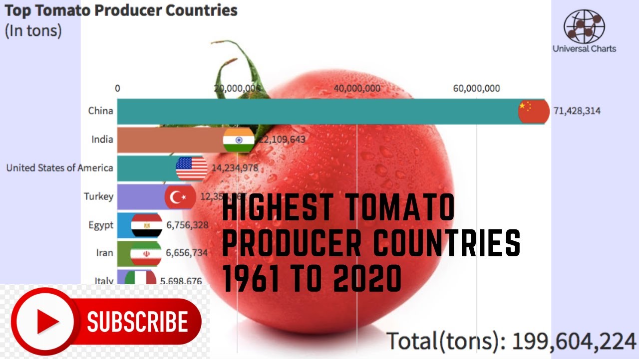 Top & Highest Tomato Producer Countries In the World from 1961 to 2020 ...