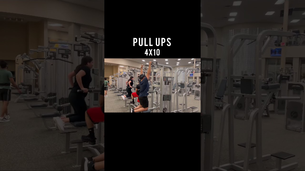 Pull Day - PPL PLAN - YouTube