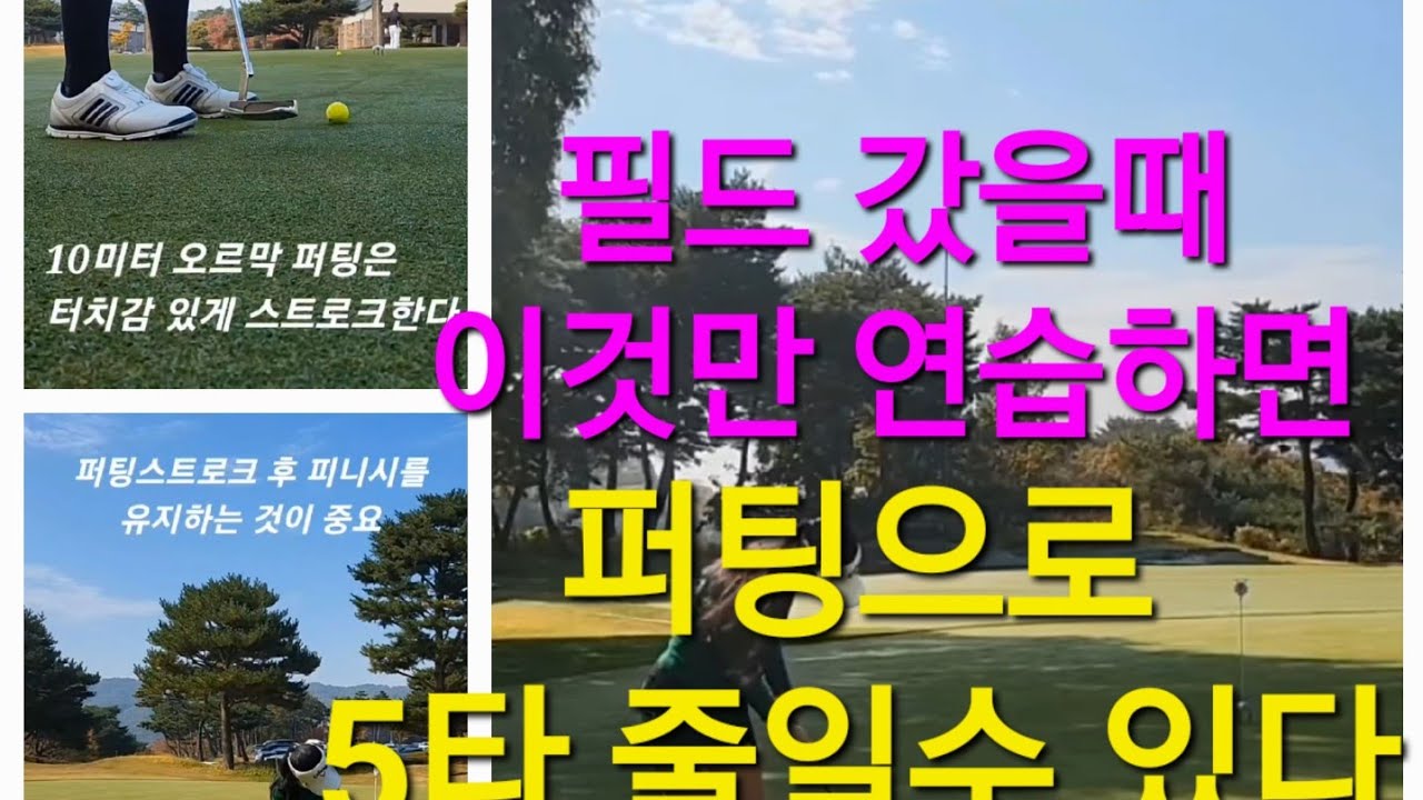 퍼팅으로 5타 줄이는 법 버디성공률 높이는 연습 쓰리퍼팅 방지 다시 가고 싶은 골프장 추천 캐슬파인gc Youtube