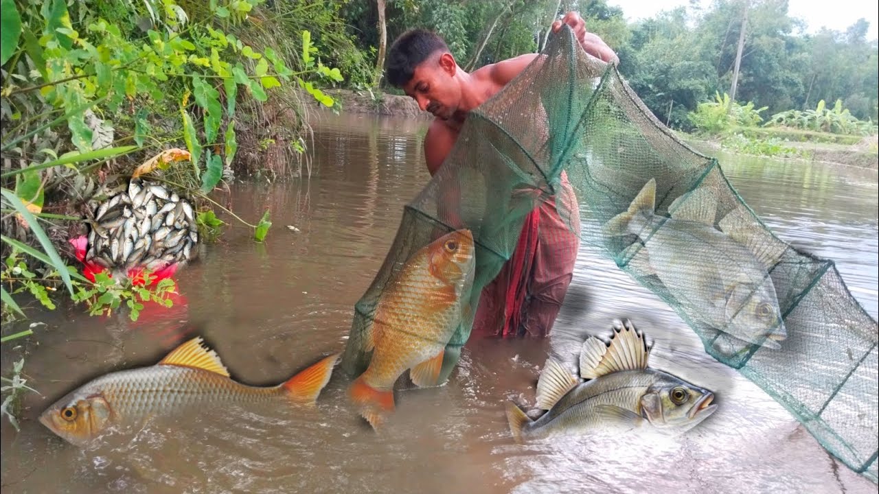 Catching Small Fish in the River with a Traditional Net | Village ...