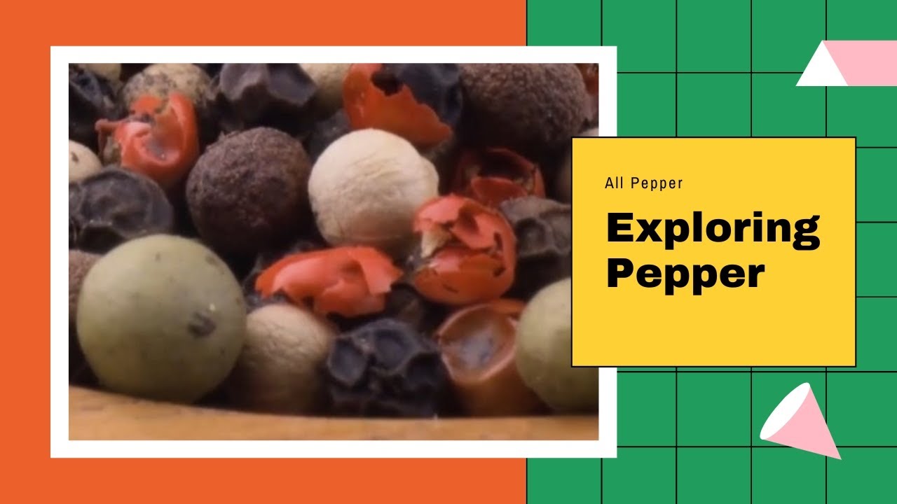 Exploring Pepper - YouTube Music