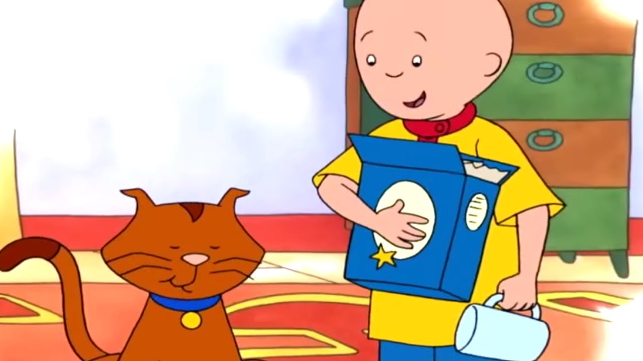 Caillou's New Cat | Caillou Cartoon - YouTube