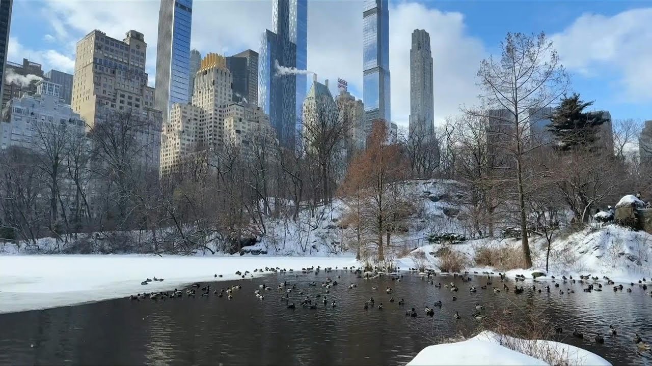 New York sous la neige après la tempête hivernale | AFP Images - YouTube