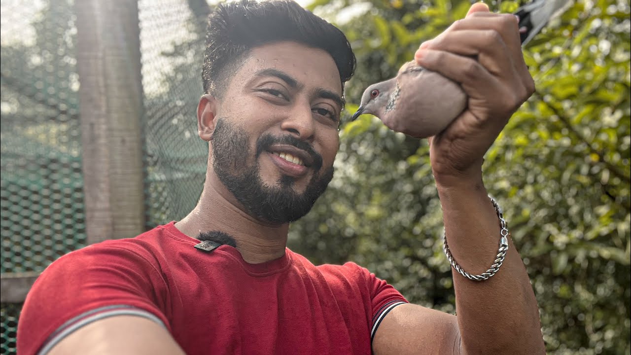 ঝড়ে উদ্ধার করা বন্য পাখি ছেড়ে দিলাম । Rescued Bird Release - YouTube