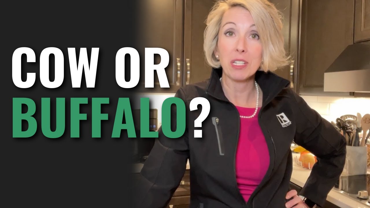 Are YOU Going To Be A Buffalo Or A Cow In 2023? - YouTube